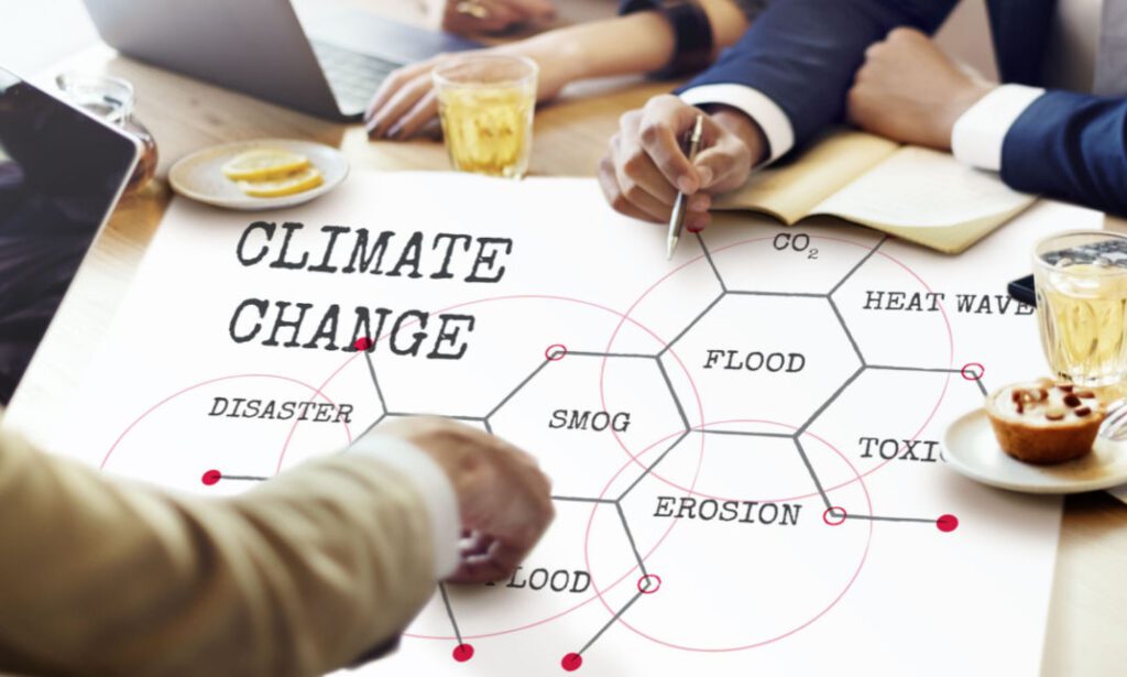 The Power of Environmental Awareness in UK | Training Tale